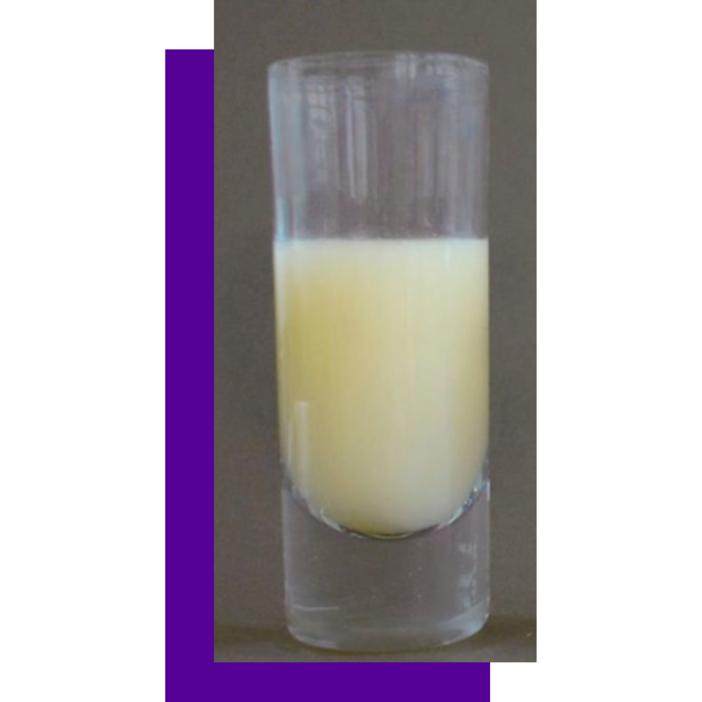 Aleitamento Materno: Qual a importância? – HB Life